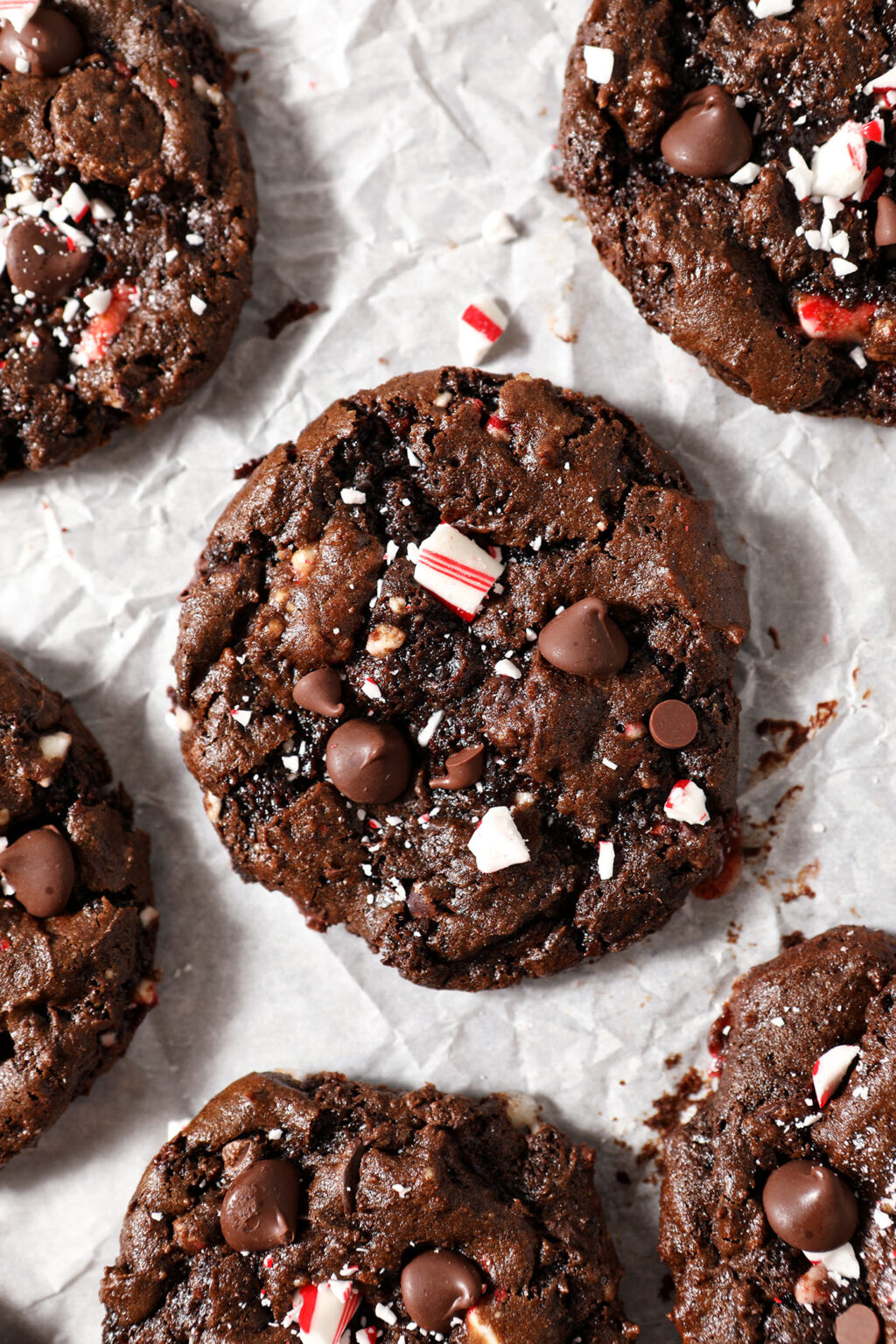 40+ of the BEST Holiday Cookie Recipes