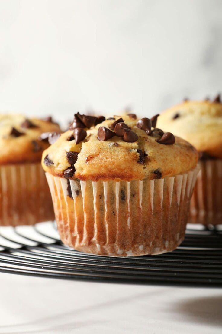 Chocolate Muffins With Chocolate Chips