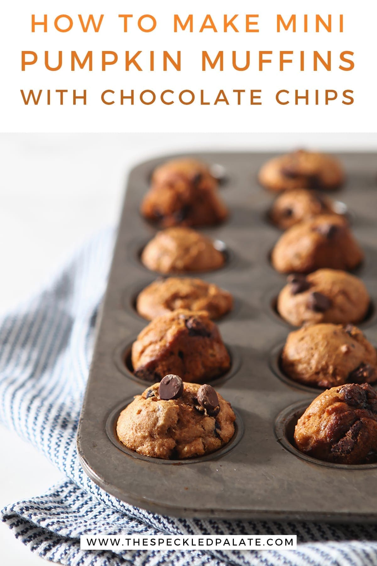 How to Make Mini Pumpkin Muffins with Chocolate Chips