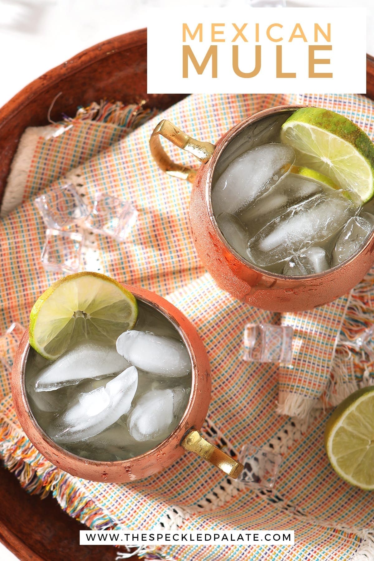 How to make a Mexican Mule at Home | The Speckled Palate