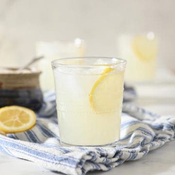 The BEST Lemonade Recipes for Kids (15+ recipes)