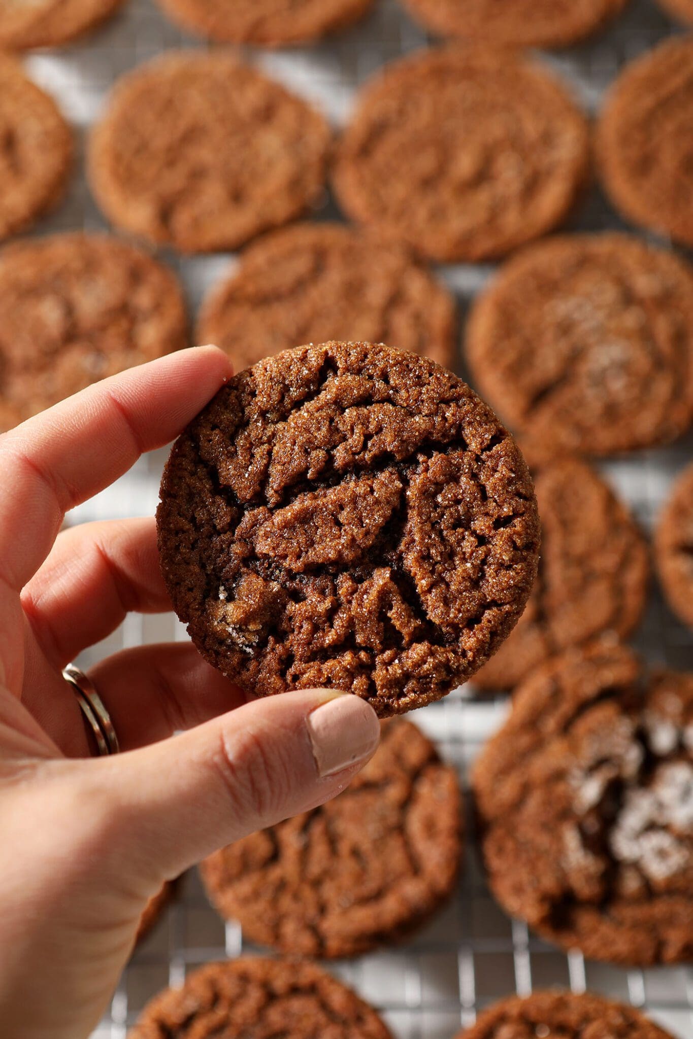 The Sweetest Season 2022 Great Cookie Round-Up