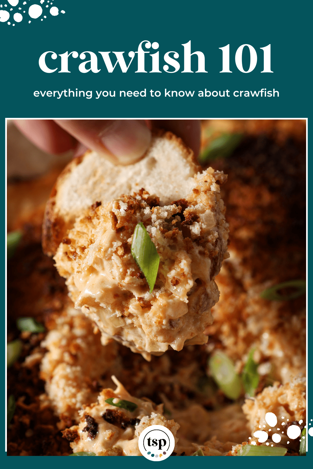Crawfish 101: Everything You Need to Know + Our Favorite Crawfish Recipes