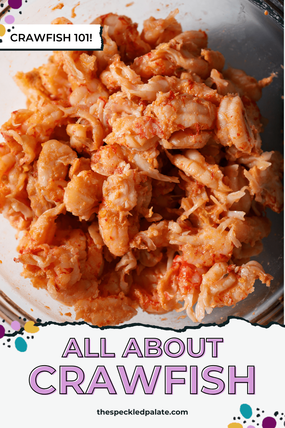 Crawfish 101: Everything You Need to Know + Our Favorite Crawfish Recipes