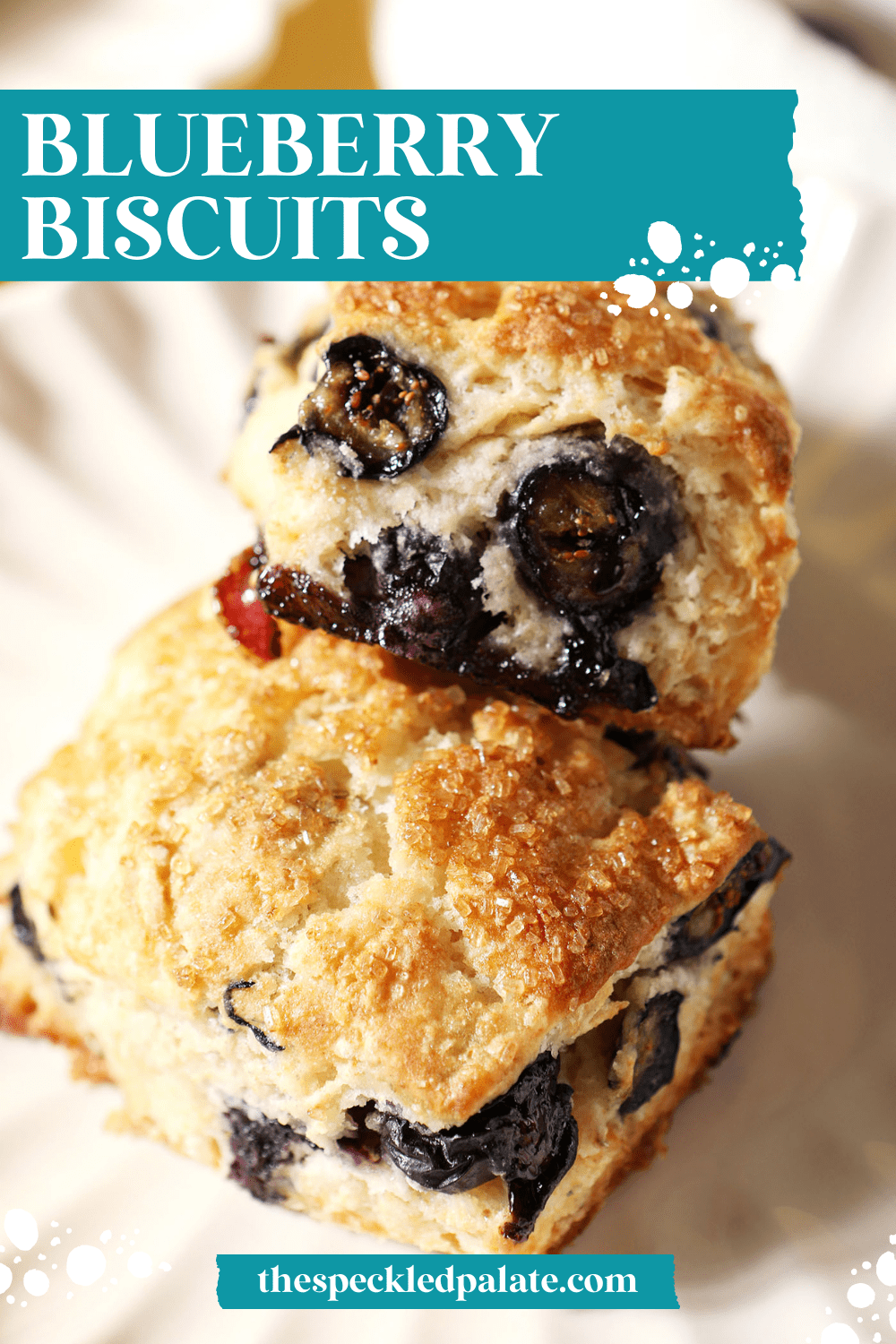 How to make Blueberry Biscuits - The Speckled Palate