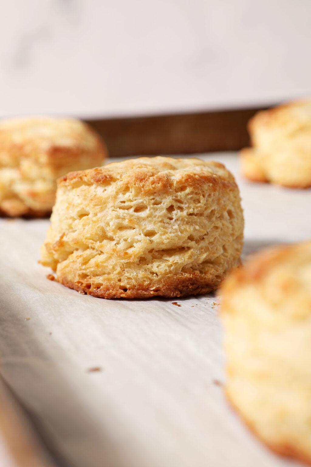 How to make the BEST Buttermilk Biscuits - The Speckled Palate